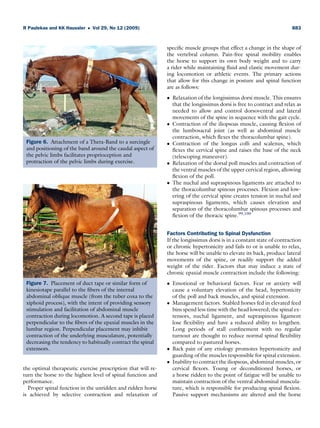 Principles and practice of therapeutic exercise for horses | PDF