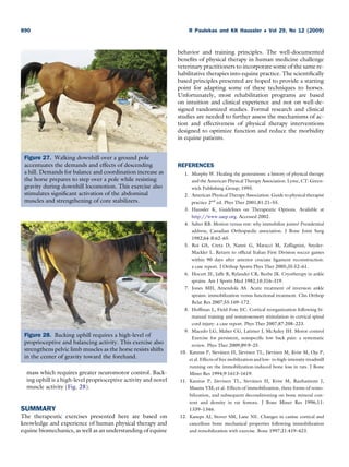 Principles and practice of therapeutic exercise for horses | PDF
