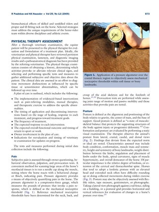 Principles and practice of therapeutic exercise for horses | PDF