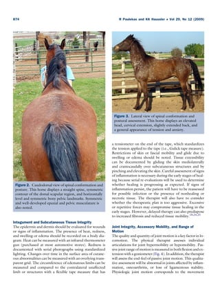 Principles and practice of therapeutic exercise for horses | PDF