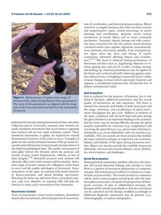 Principles and practice of therapeutic exercise for horses | PDF