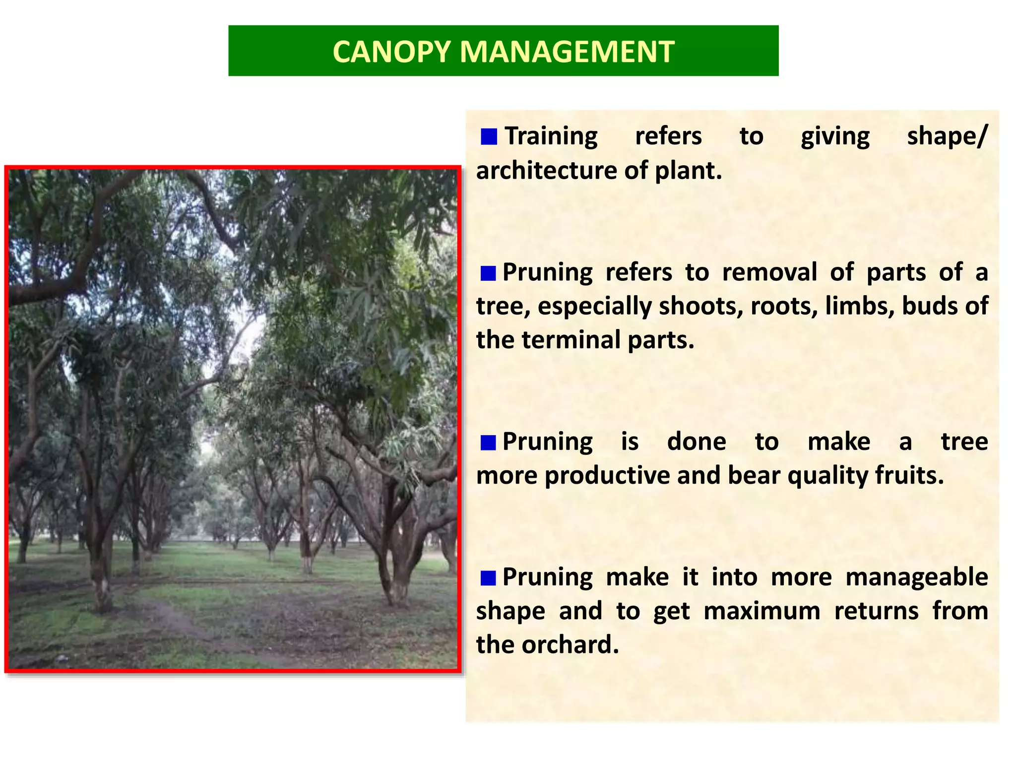 Principles and Practices for Sustainable Fruit Production | PPTX