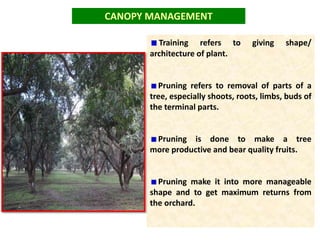 Principles and Practices for Sustainable Fruit Production | PPTX