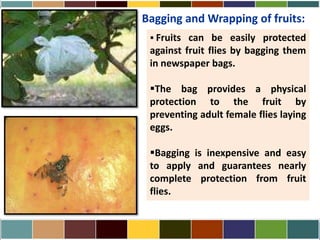 Principles and Practices for Sustainable Fruit Production | PPTX