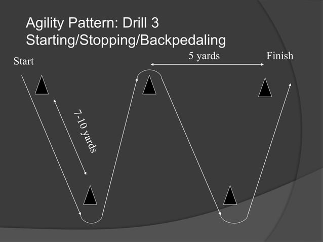 Principles and practices of agility training | PPTX
