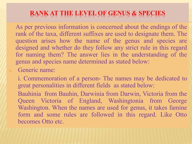 Principles and Rules.pdf