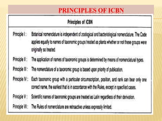 Principles and Rules.pdf