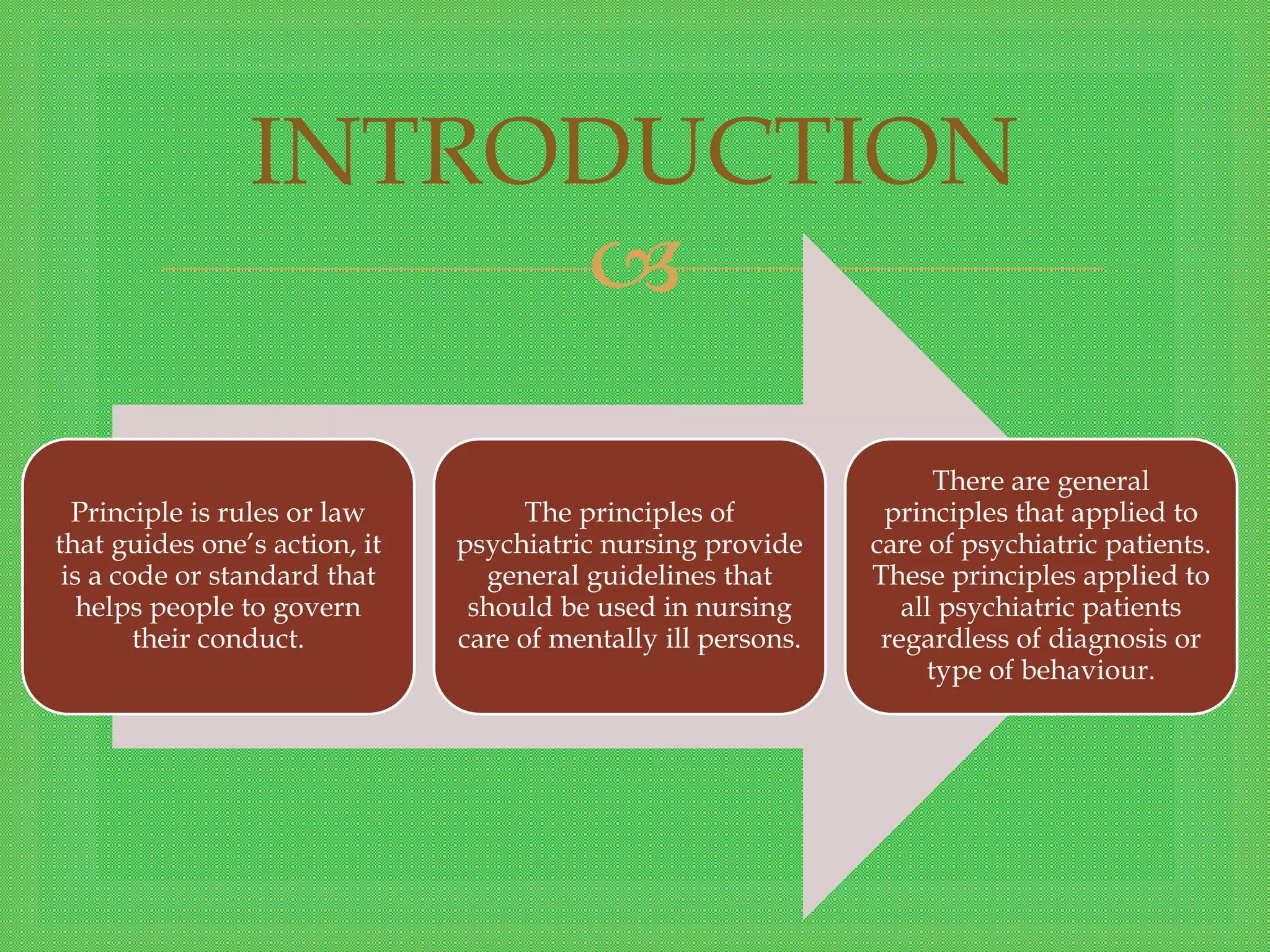 Principles and standard of mental health nursing | PPTX