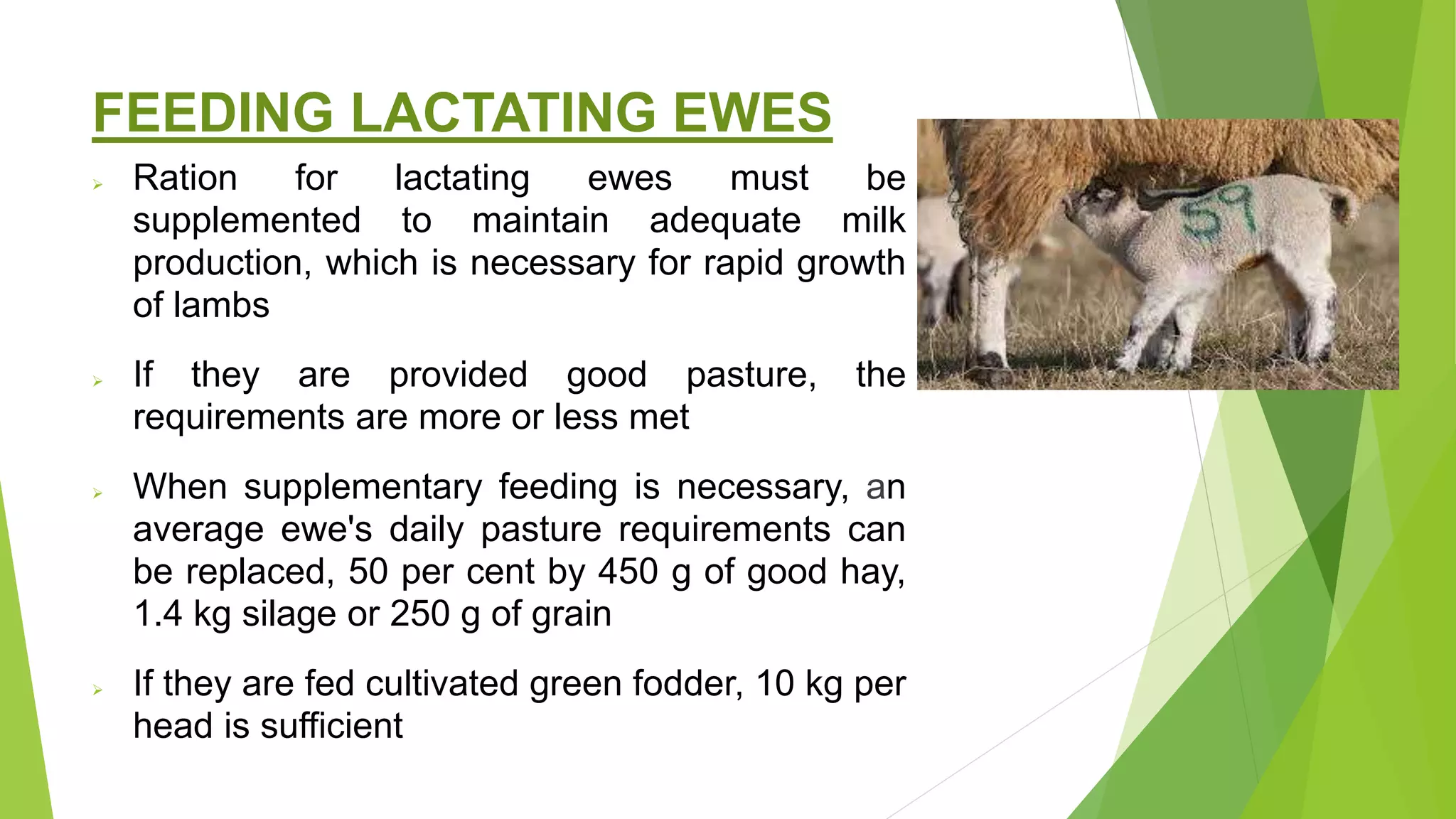PRINCIPLES AND SYSTEMS OF FEEDING AND WATERING DIFFERENT.pptx