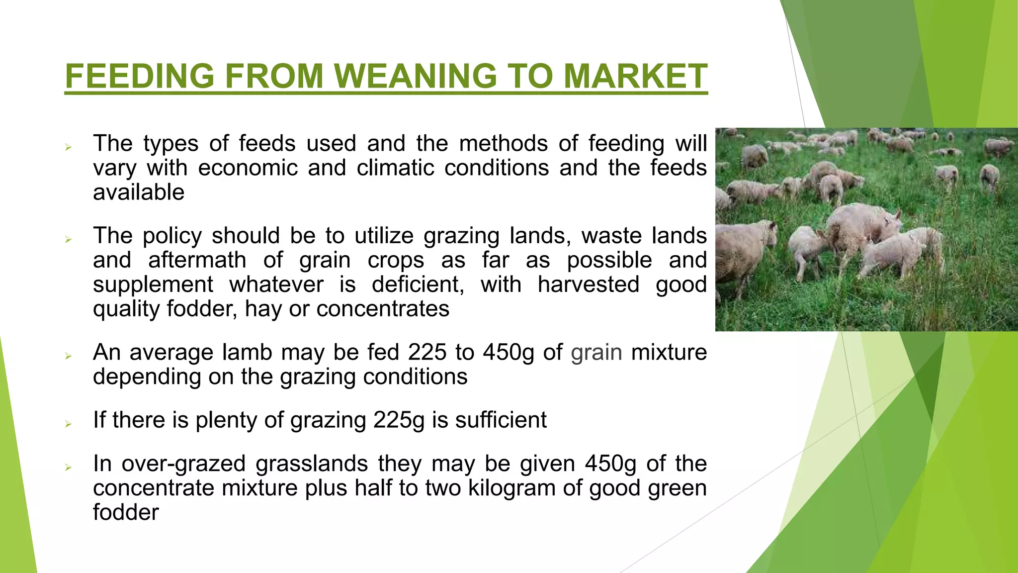 PRINCIPLES AND SYSTEMS OF FEEDING AND WATERING DIFFERENT.pptx