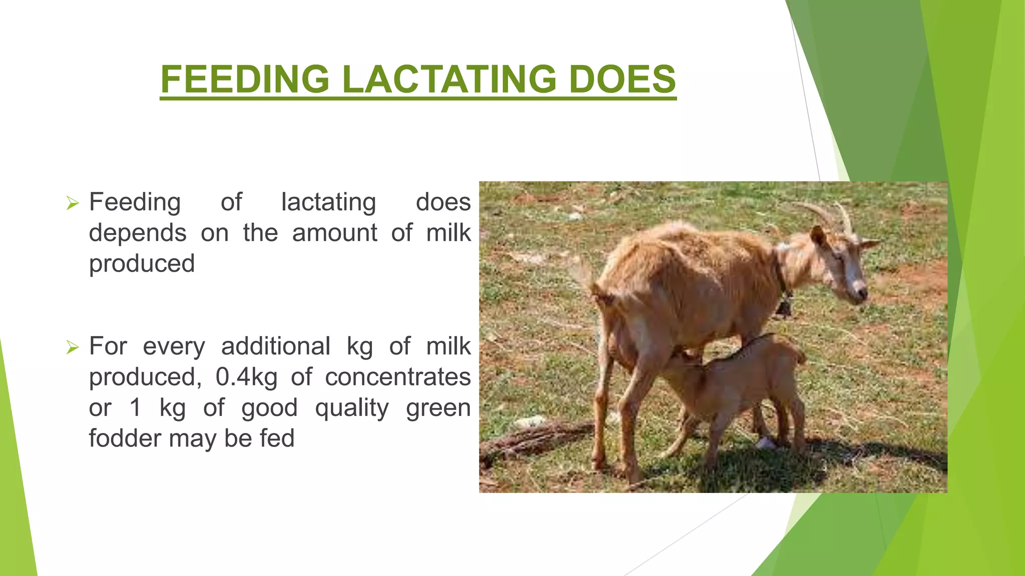 PRINCIPLES AND SYSTEMS OF FEEDING AND WATERING DIFFERENT.pptx