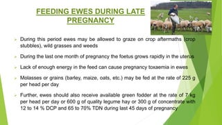 PRINCIPLES AND SYSTEMS OF FEEDING AND WATERING DIFFERENT.pptx
