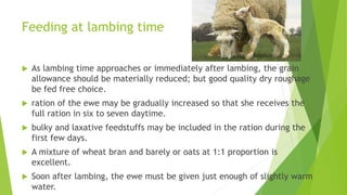 PRINCIPLES AND SYSTEMS OF FEEDING AND WATERING DIFFERENT.pptx