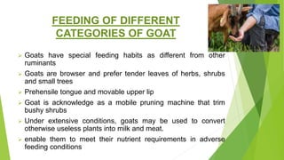 PRINCIPLES AND SYSTEMS OF FEEDING AND WATERING DIFFERENT.pptx
