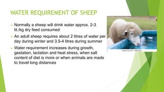 PRINCIPLES AND SYSTEMS OF FEEDING AND WATERING DIFFERENT.pptx