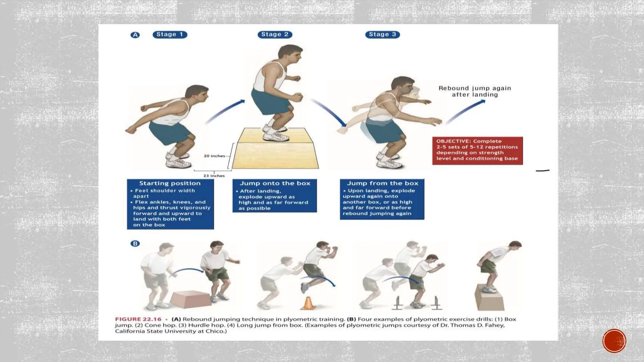 Principles and techniques of strengthening exercise | PPTX