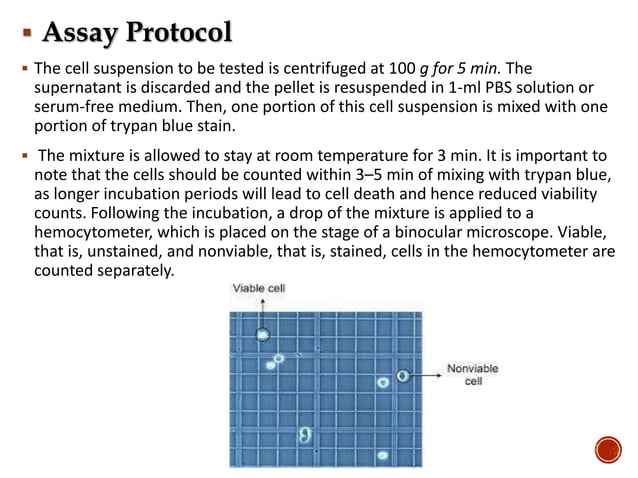 Principles & Applications of cell viability assays (MTT Assays) | PPTX
