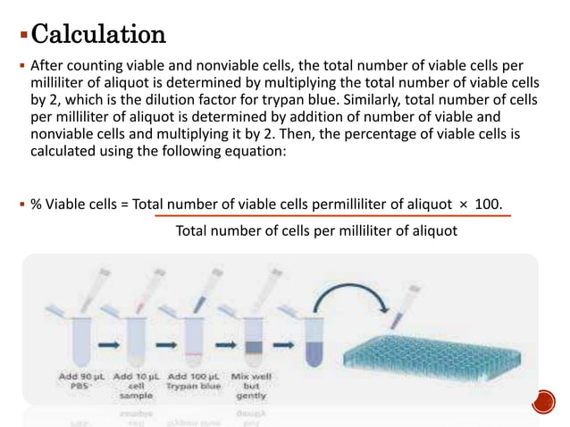 Principles & Applications of cell viability assays (MTT Assays) | PPTX