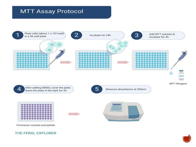 Principles & Applications of cell viability assays (MTT Assays) | PPTX