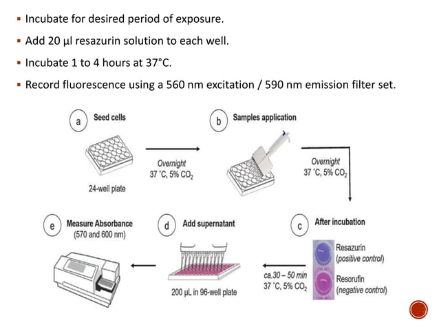Principles & Applications of cell viability assays (MTT Assays) | PPTX