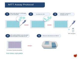Principles & Applications of cell viability assays (MTT Assays) | PPT