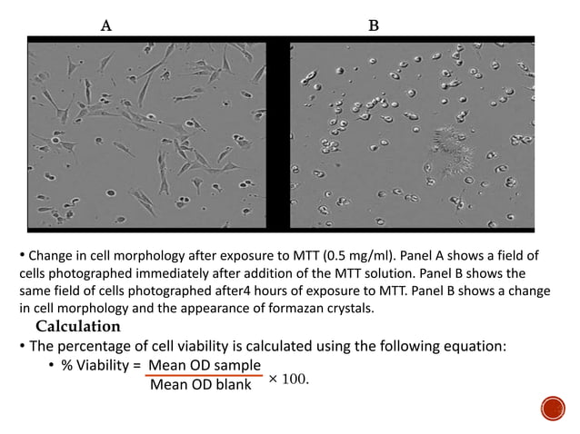 Principles & Applications of cell viability assays (MTT Assays) | PPT