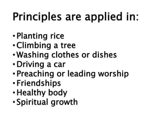 Life Principles for Success | PPTX