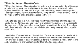 Principles & Methods Of Radial Arm Maze, Y Maze & Plethysmometer.pptx