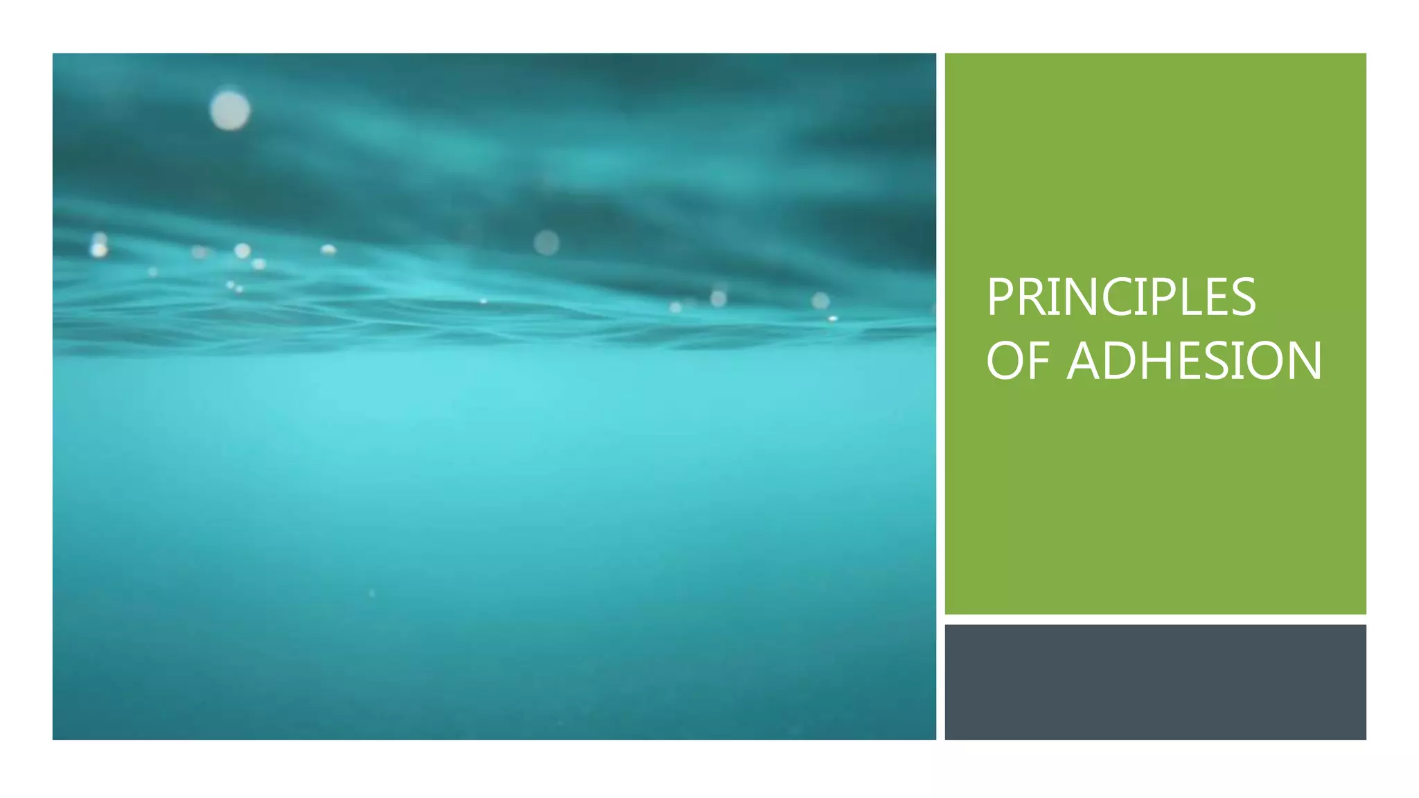 Principles of adhesion in dentistry | PPTX