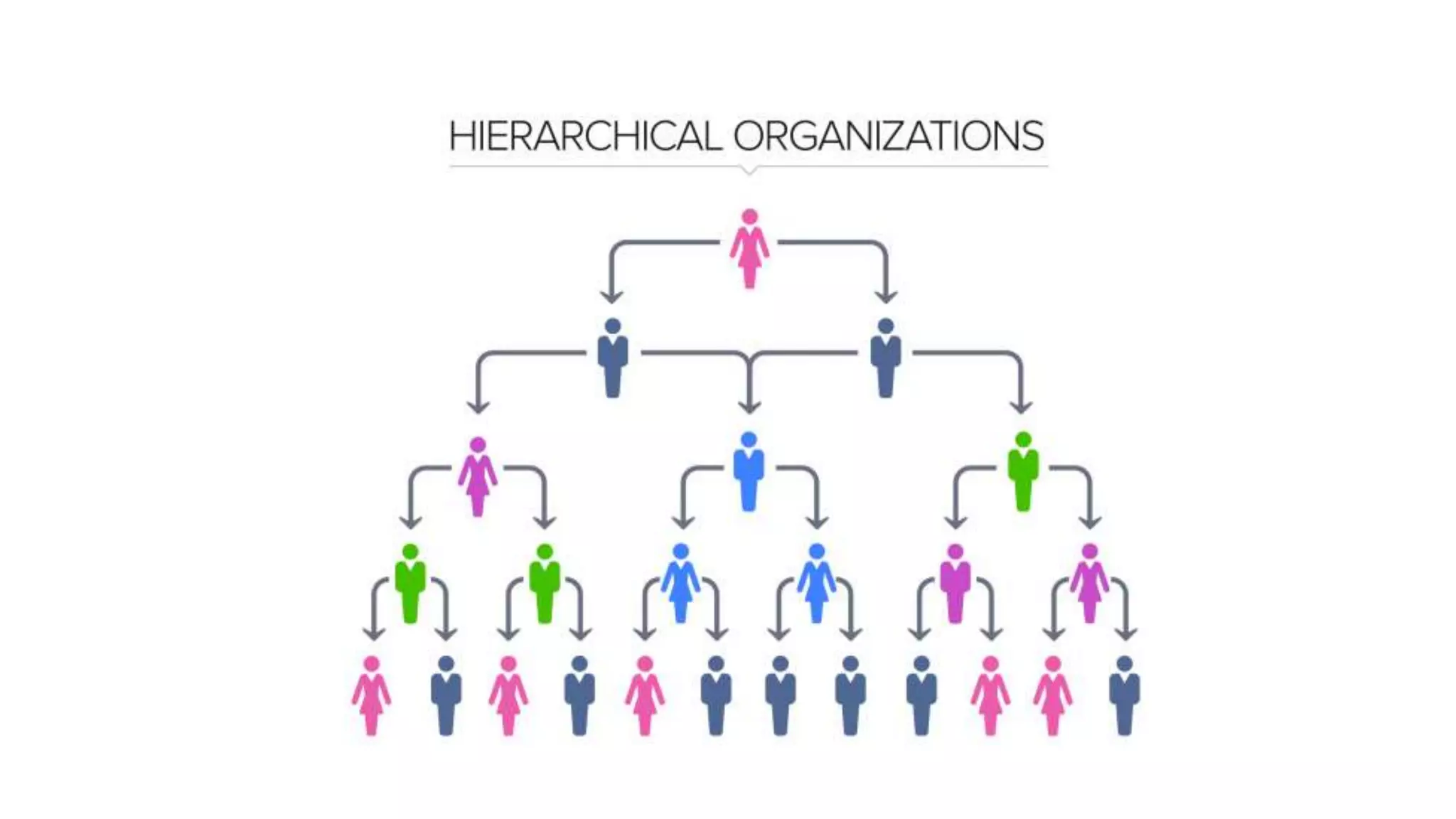 Principles of Administration | PPTX