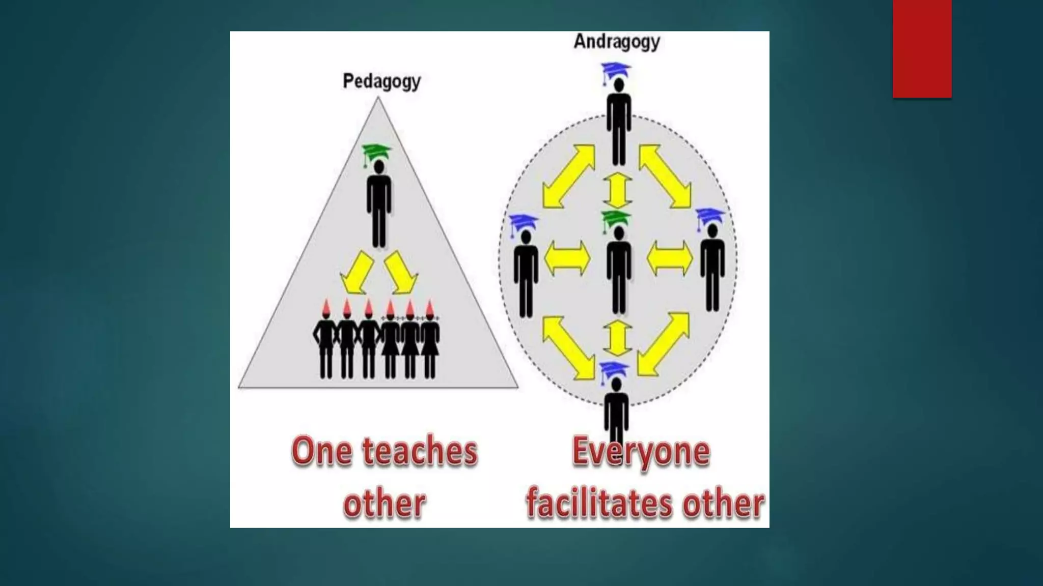 Principles of adult learning | PPTX