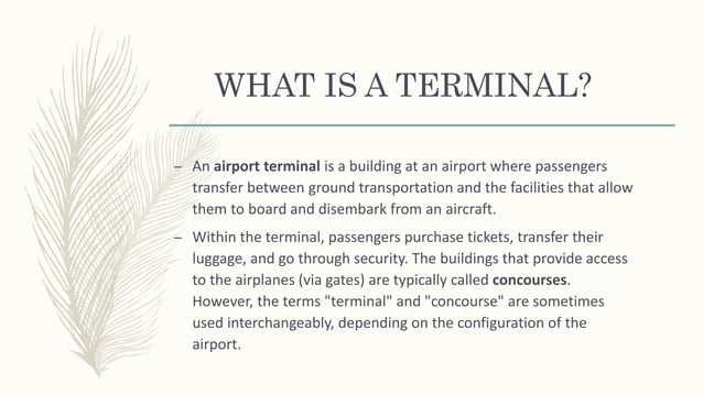 Airport terminal planning and design | PPTX | Air Travel | Travel Type