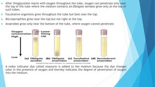 Principles of anaerobic bacteriology i | PPTX