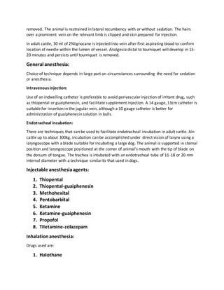 Principles of anesthesia use in cattle | PDF