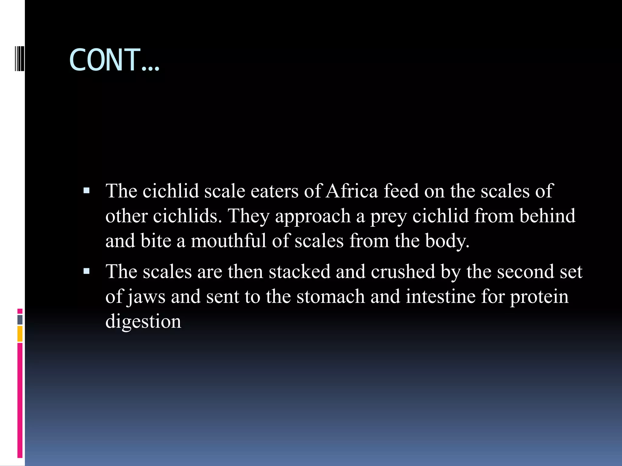 Principles of animal life - BS 1st.pptx