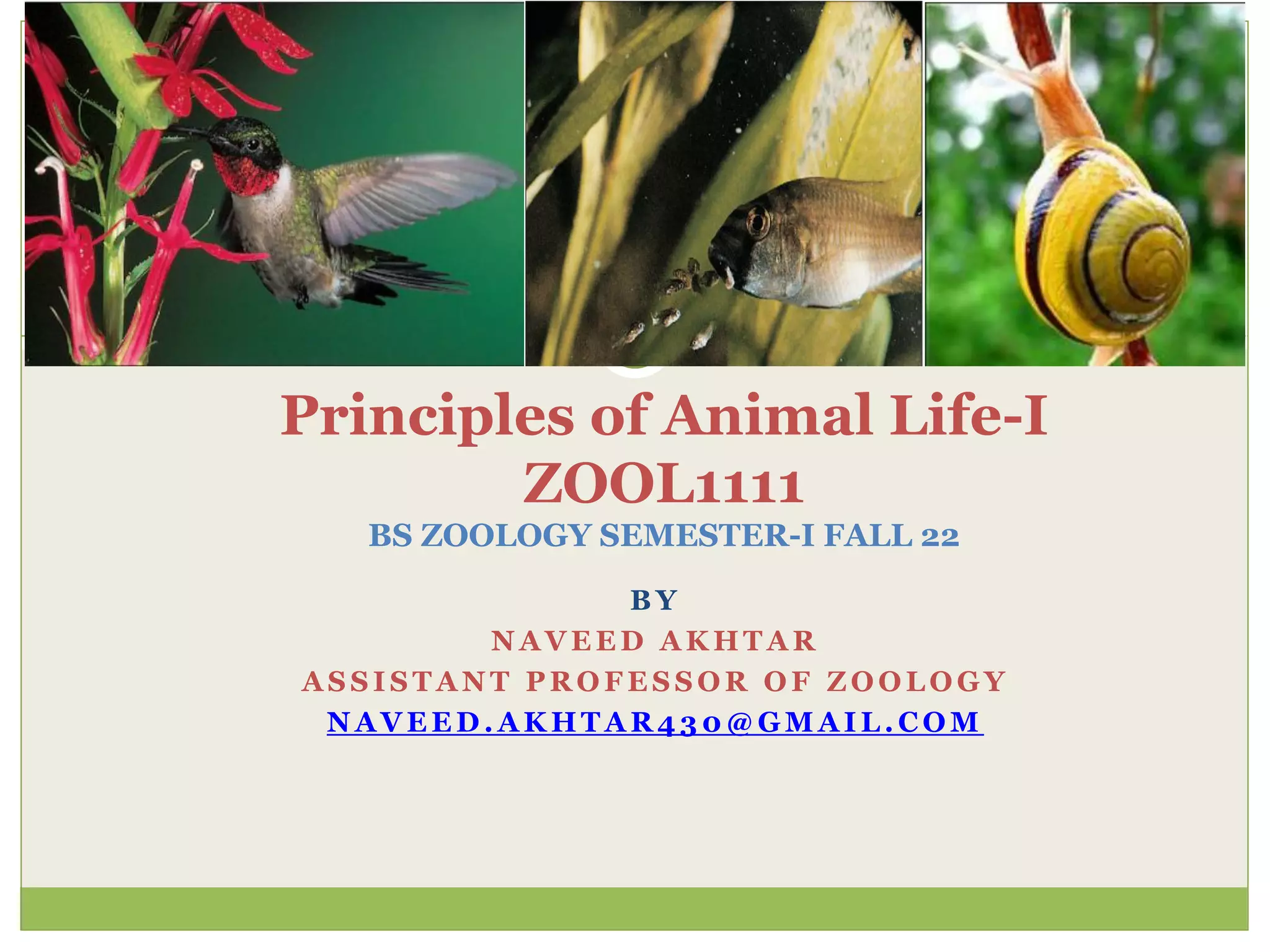 Zoology and Its Scope | PDF