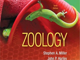 Principles of Animal Life-I ZOOL1111.pdf