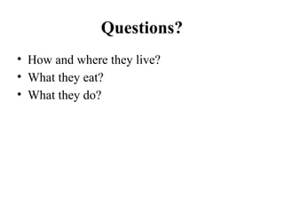 Principles of animal life_1-1.pptx hgskkji | PPTX
