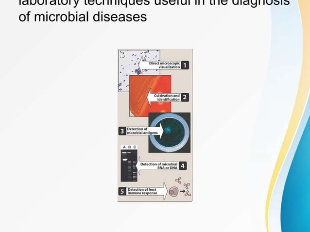 Principles of anti microbial therapy | PPT