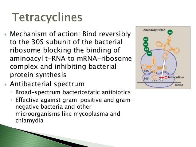 Principles of antimicrobial therapy - Pharmacology