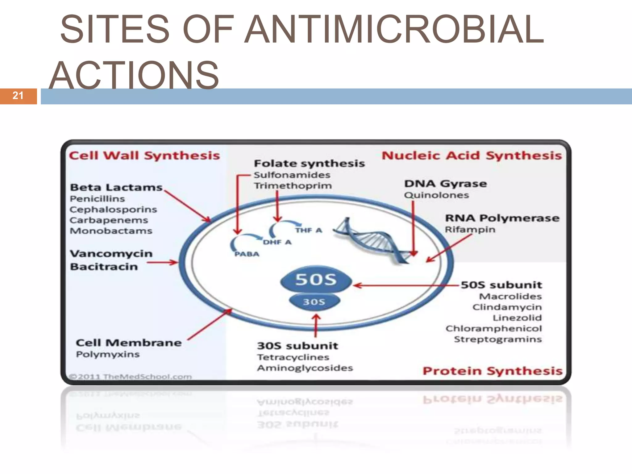Principles of anti microbial therapy | PPTX