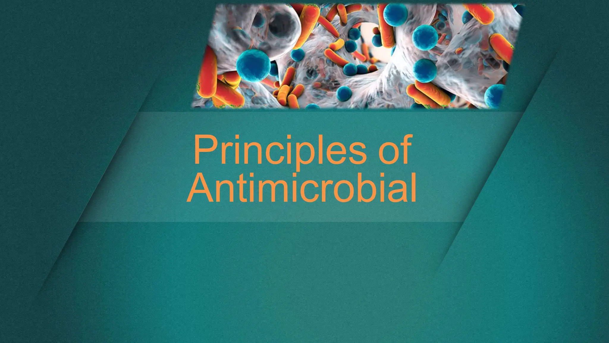 principles of antimicrobial therapy (1).pptx