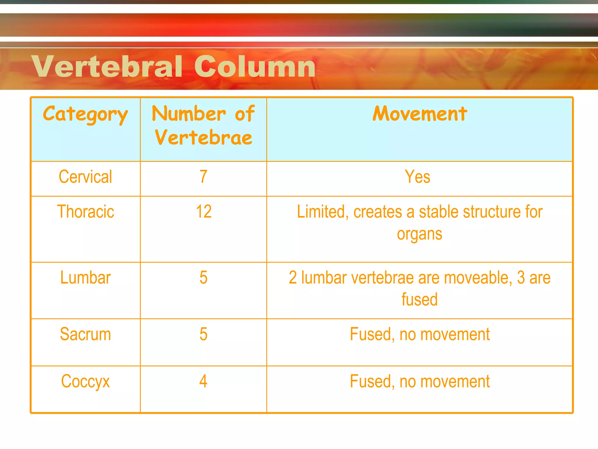 Principles of a+p 1112 session 1 - skeletal system | PPT