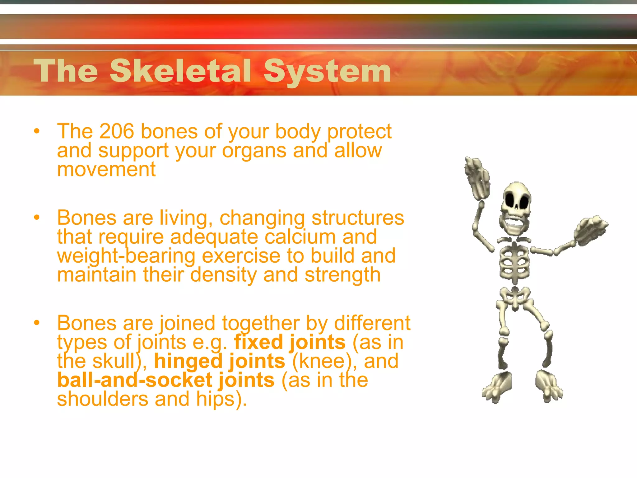 Principles of a+p 1112 session 1 - skeletal system | PPT | Death, Injury, or Military Conflict ...