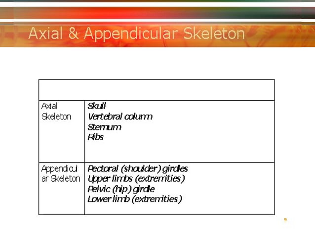 Principles of a+p 1112 session 1 - skeletal system | PPT