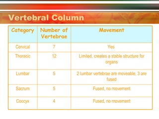 Principles of a+p 1112 session 1 - skeletal system | PPT