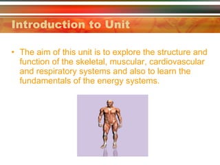 Principles of a+p 1112 session 1 - skeletal system | PPT | Death, Injury, or Military Conflict ...