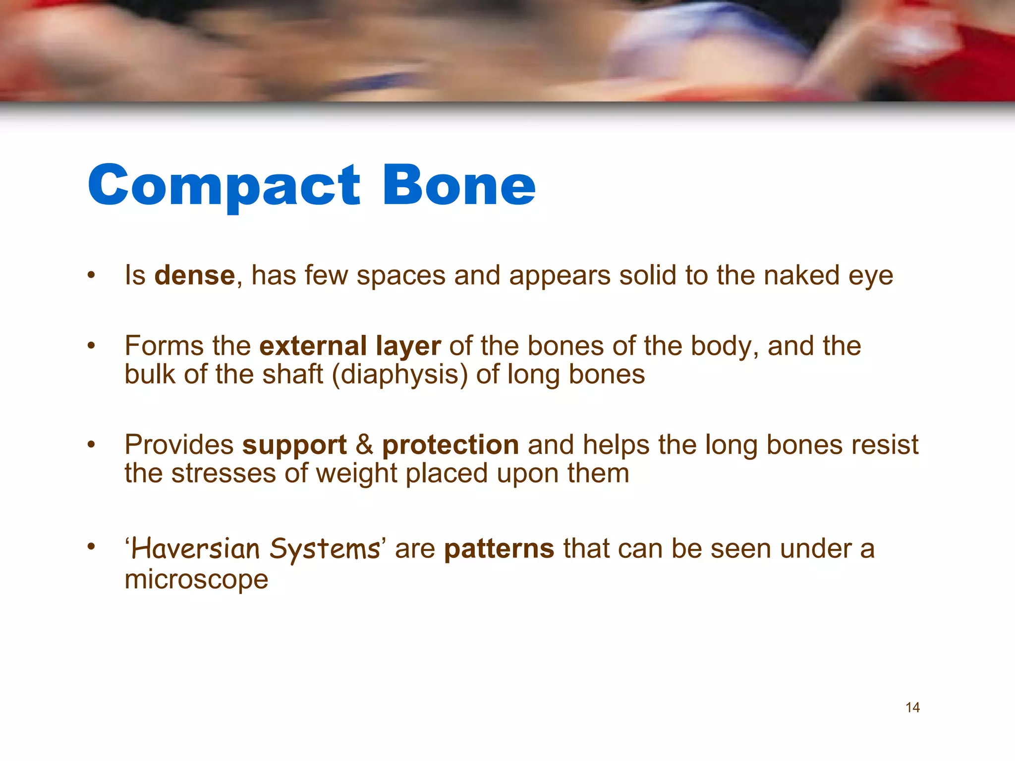 Principles of a+p 1112 session 2 - skeletal system (functions of skeletal system and bone ...