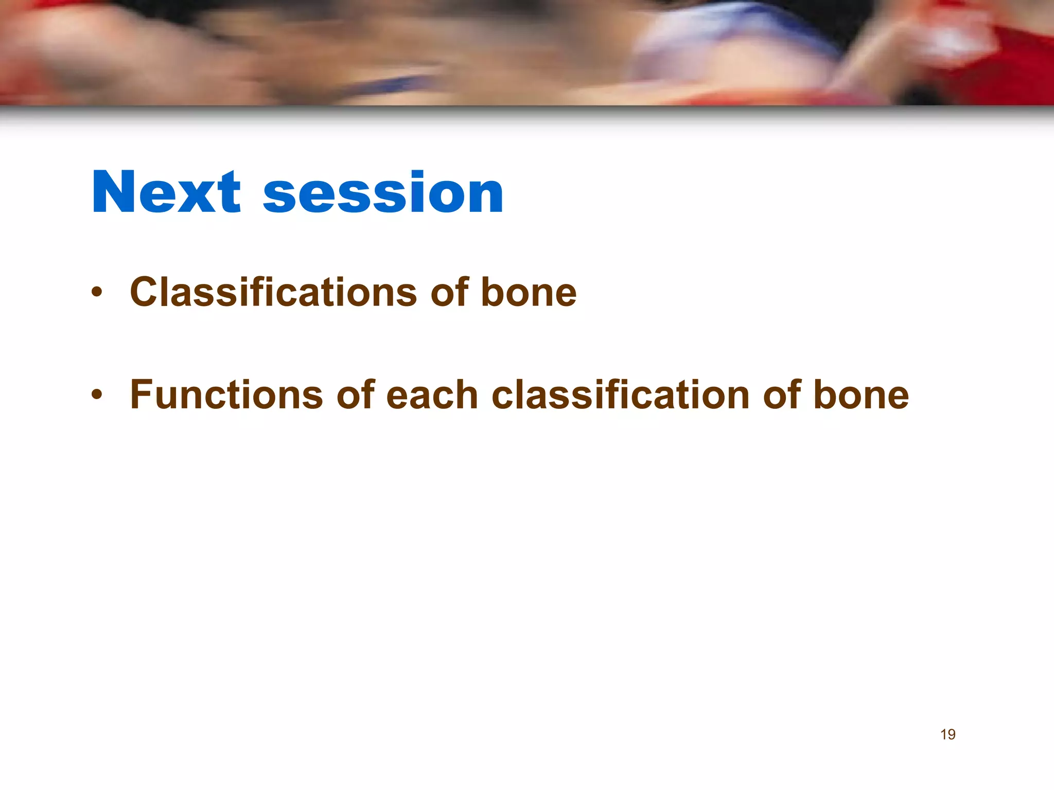 Principles of a+p 1112 session 2 - skeletal system (functions of skeletal system and bone ...
