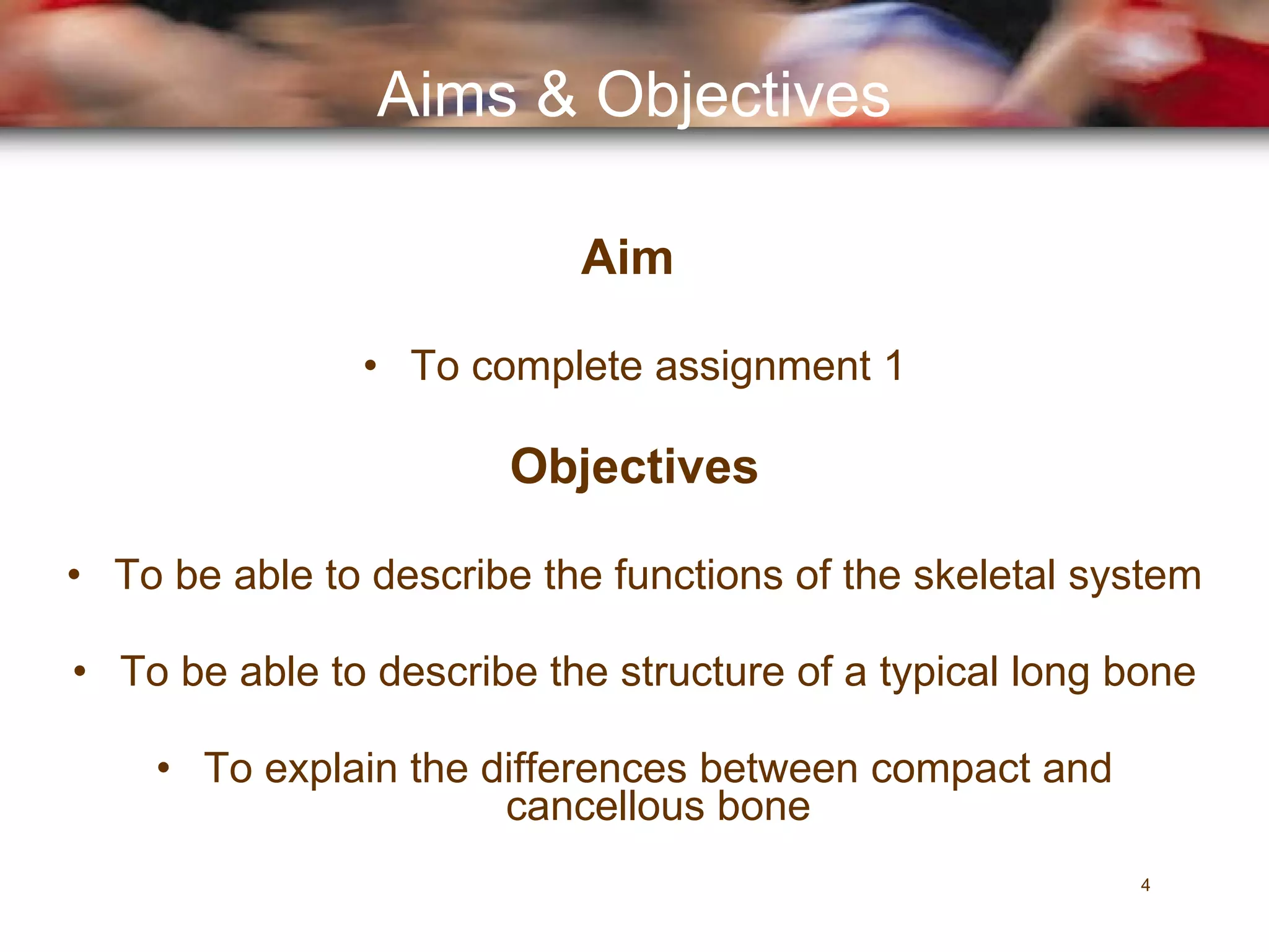 Principles of a+p 1112 session 2 - skeletal system (functions of skeletal system and bone ...